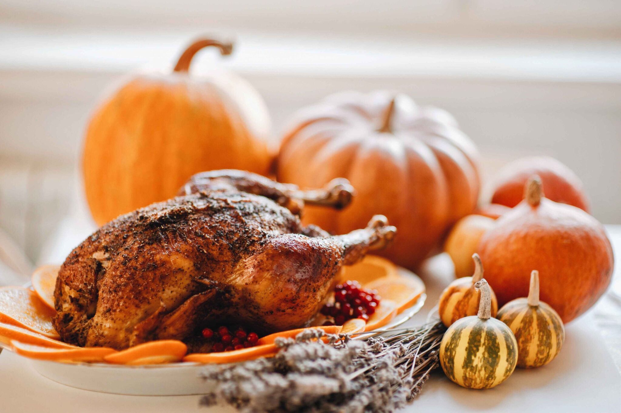 Shop Local for Thanksgiving Groceries in Salem, MA – Fresh Deals at ...